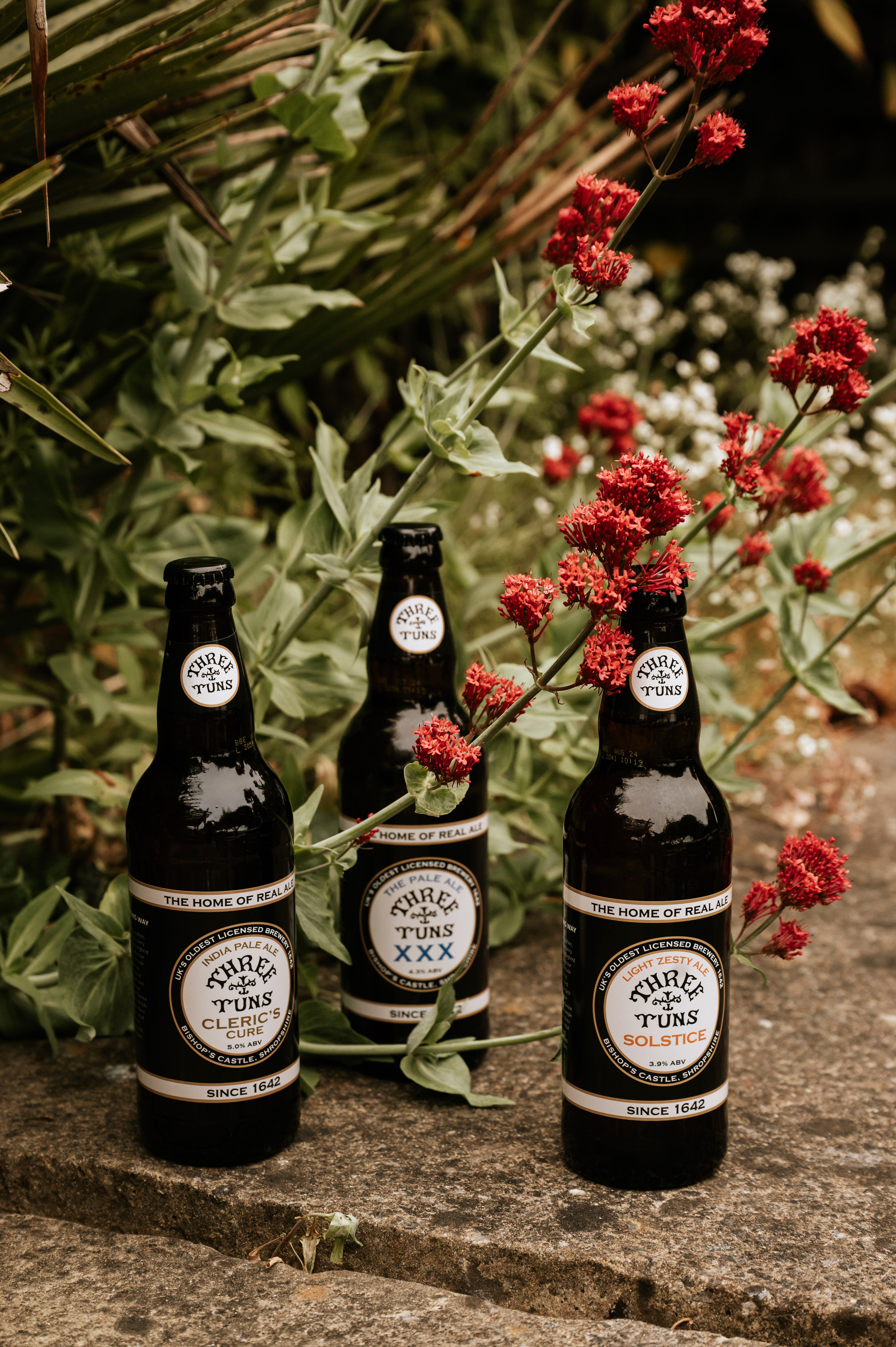 Pale Ales Mixed Case of 12 Bottles | Three Tuns Brewery | Shop Now